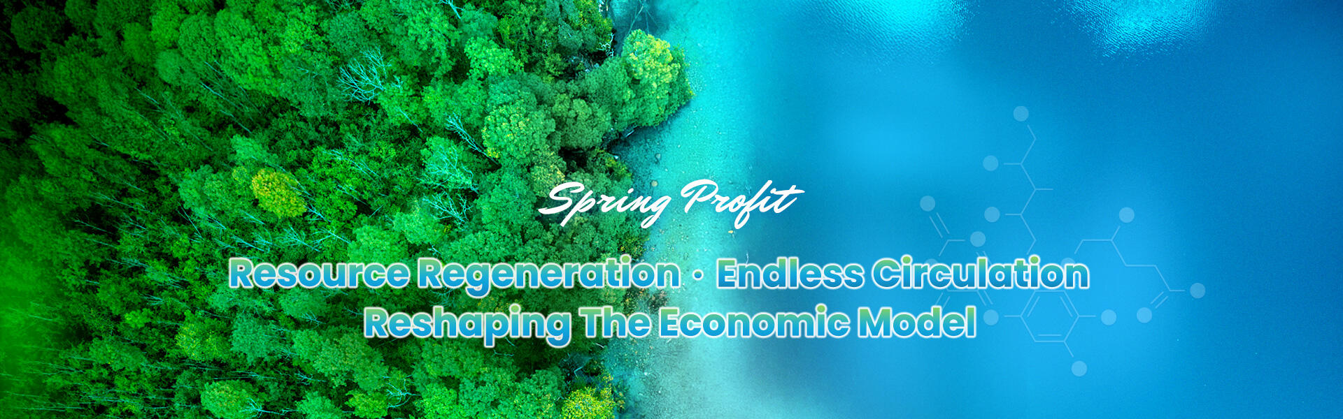 Service - Spring Profit